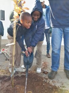 SPARK Soweto asks for your vote having been nominated in top 3 World’s ...