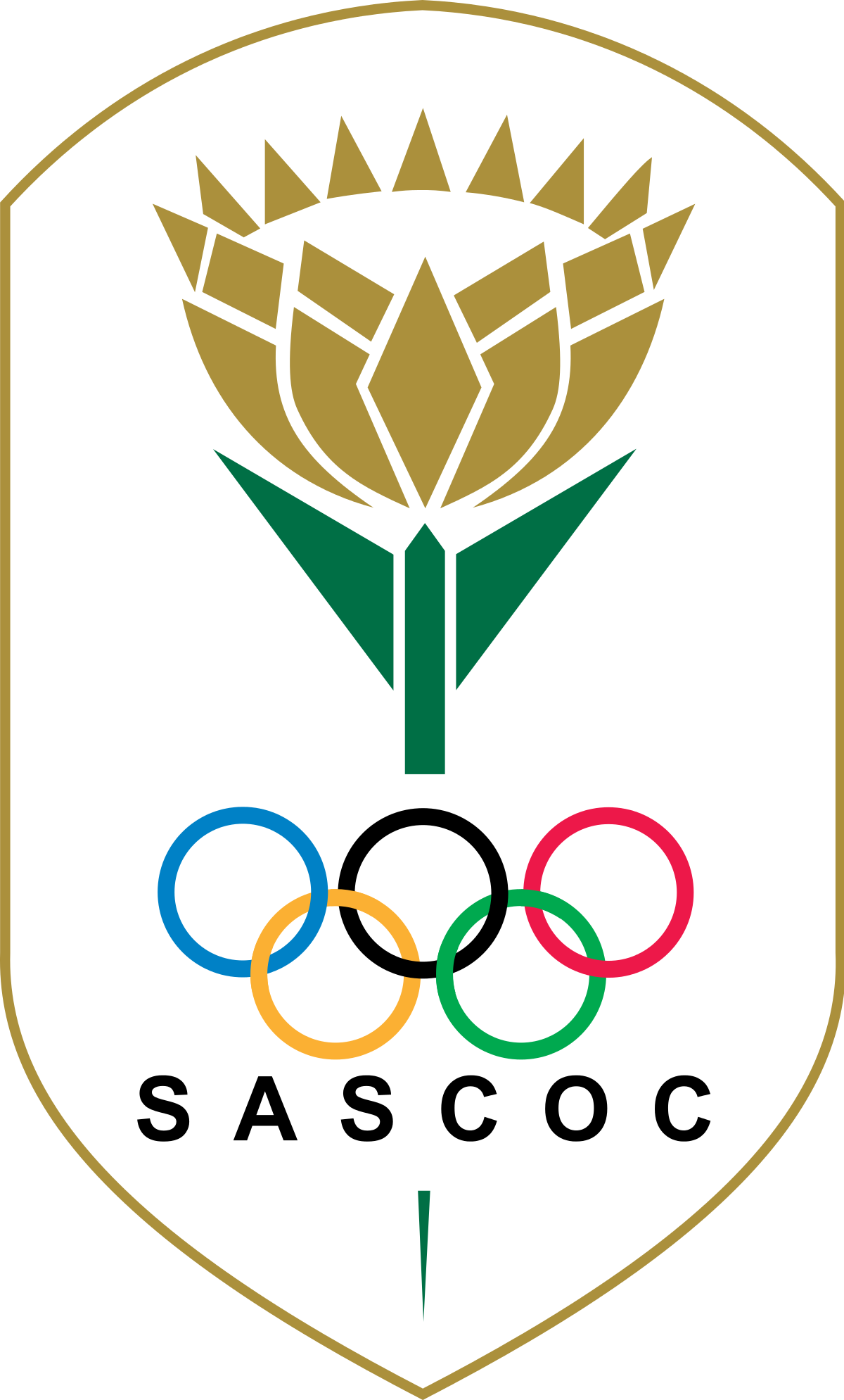 SASCOC elects new Pres, board as it strives to retain image – Soweto ...